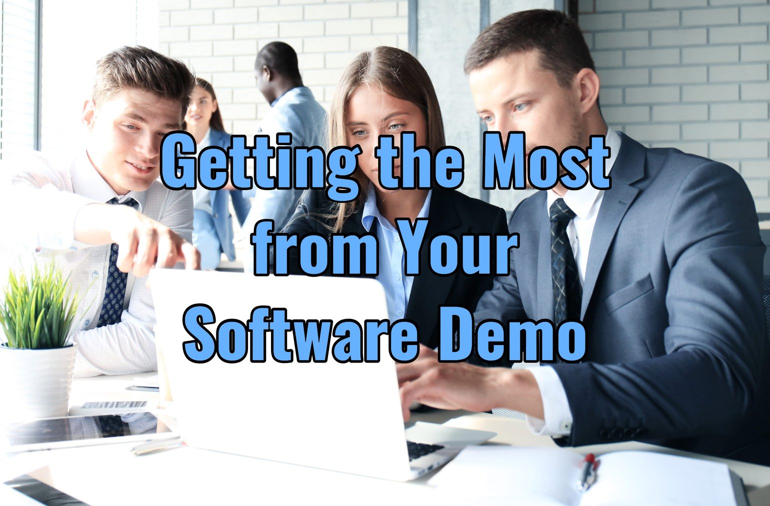 Getting the Most from Your Software Demo