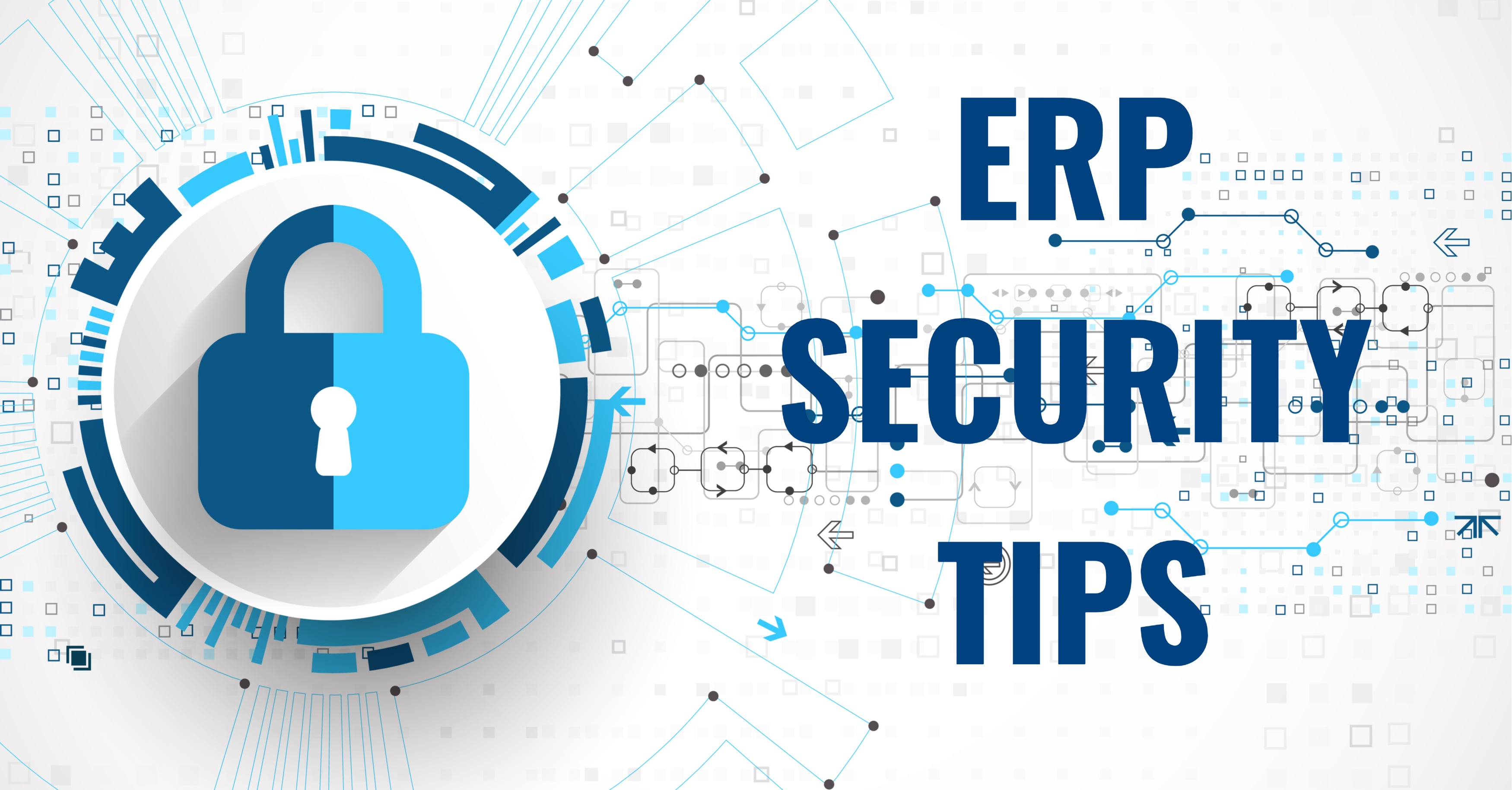 Don't Put Your ERP at Risk—Follow These Security Tips Don't Put Your ERP at Risk—Follow These Security Tips